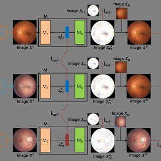 Overview Of The Proposed Methodology With Self Supervised Learning Download Scientific Diagram
