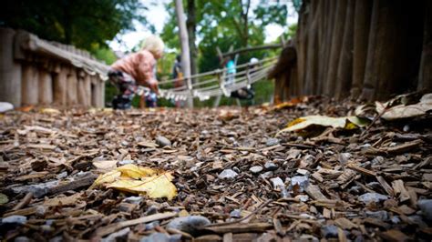 푹신푹신 ‘우드칩 유럽 놀이터 아이들을 품다 [발암물질 위의 아이들]