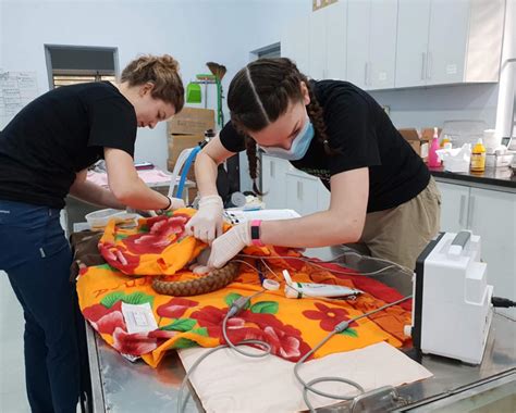 Rvn Sisters On Tour By Gemma Crowley And Lisa Crowley British