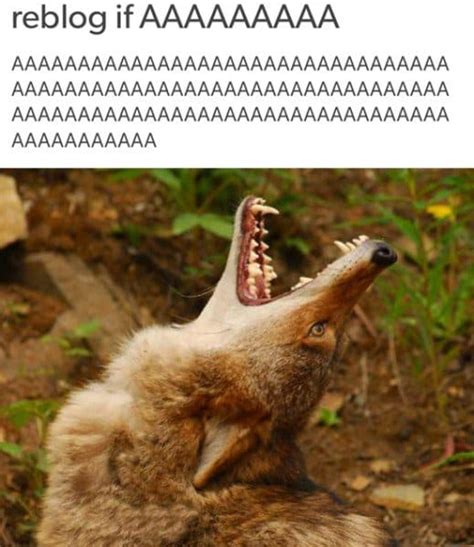 13 Images Youll Understand If You Suffer From Casual Existential