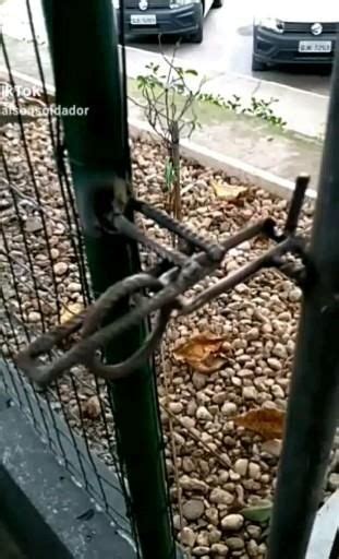 Best Gate Locks Ideas Gate Locks Gate Wooden Gates