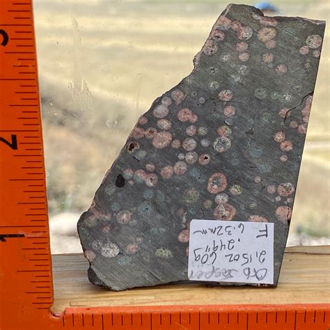 Rare Chinese Orbicular Ocean Jasper Unpolished Slab Etsy