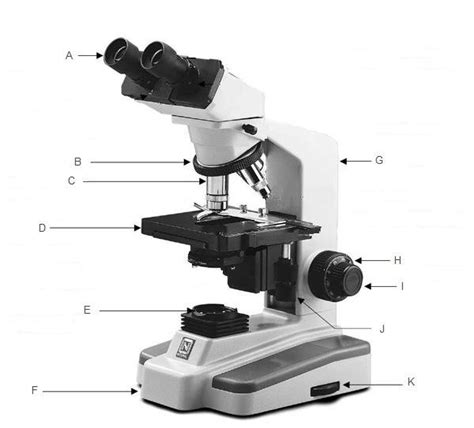 Microscope Parts Diagram Quizlet
