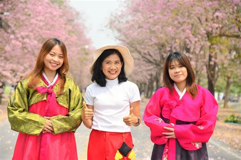 พร้อมอวดโฉม ชมพูพันธุ์ทิพย์สุดสวย บานสะพรั่งที่ม เกษตรศาสตร์ กำแพงแสน