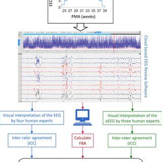 Study Overview This Figure Depicts A Display Of H Of AEEG And Sec Download Scientific
