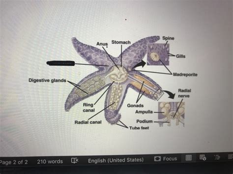 Wfsc 335 Lab 10 Quiz 2 019 Flashcards Quizlet