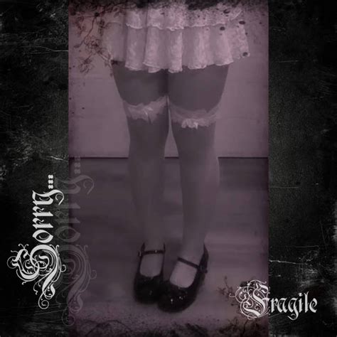 Sorry Fragile Reviews Album Of The Year