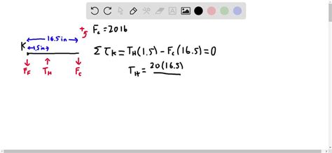 You Are Exercising Your Hamstring Muscle The Large Muscle In The Back