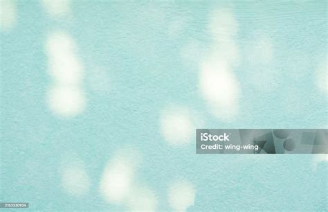 푸른빛 배경 추상 오버레이 여름 태양 그림자 잎 화이트 그라데이션 색 흐림 방 시멘트 바닥 벽 배경 모형 제품 아름다움 화장품 프리 젠 테이션 최소한의 빈 카드 열렬한 0