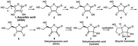 Vitamin C Deficiency Scurvy Causes Symptoms Diagnosis And Treatment