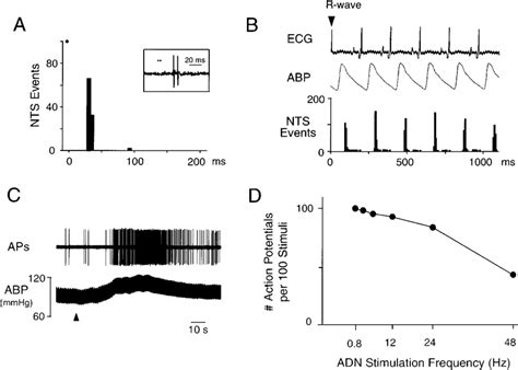 A Peristimulus Time Histogram Showing Nts Action Potential Events