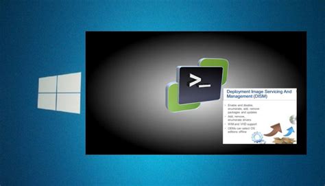 How To Backup And Restore A Windows Dhcp Server Via The Dhcp Manager