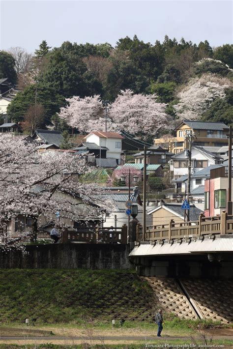 キヤノン「rf70 200mm F4 L Is Usm」レンズレビューボケ編 とるなら