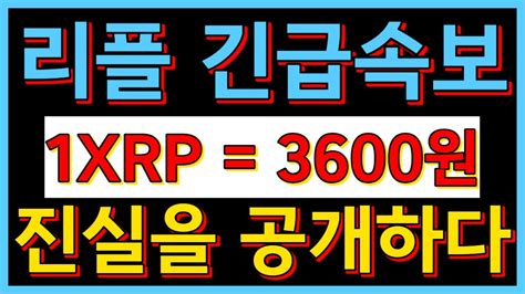 리플 3600원 진실 공개 리플소송 리플속보 리플코인 Youtube