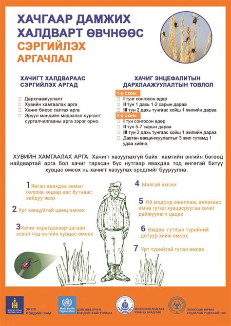 Хачгаар дамжих халдварт өвчнөөс урьдчилан сэргийлье ЗӨСҮТ