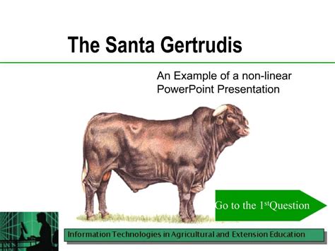 Ppt The Santa Gertrudis Powerpoint Presentation Free Download Id