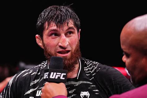 Ankalaev Evita Malhadinho E Volta A Pedir Novos Rivais Após Cravar Que Poatan Não O Quer Mais