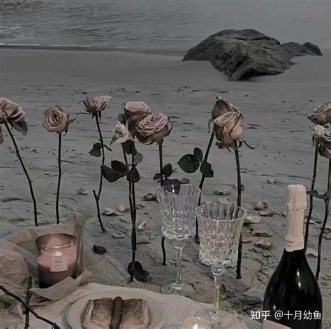 饶雪漫语录 知乎