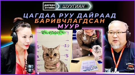 Дөрвөн зүгийн шуугиан 2025 05 23 Цагдаа руу дайраад баривчлагдсан муур Youtube