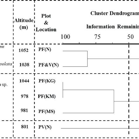 Dendrogram Showing Three Forest Types Supporting Paphiopedilum