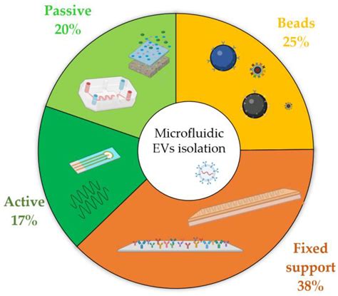 Microfluidic Strategies For Extracellular Vesicle Isolation Towards