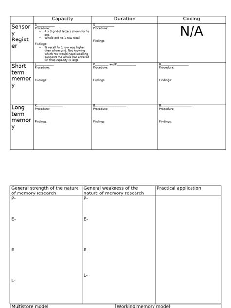 Allmemoryoverviewrevisionsheets19 Pdf Memory Cognition