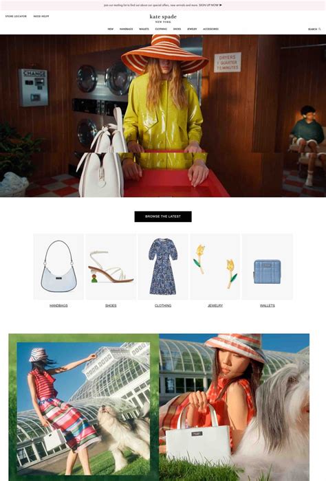 16 Pink Website Design Examples We Love [ How To Make Your Own]