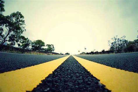 Ants Pov Pov Snapshots Outdoor