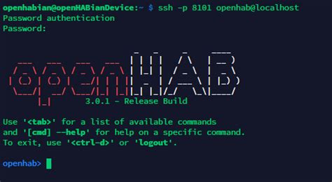 Can T Connect To OpenHAB Console Beginners OpenHAB Community