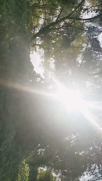 10월의 어느멋진 날에 옆으로 봐주세요 Youtube