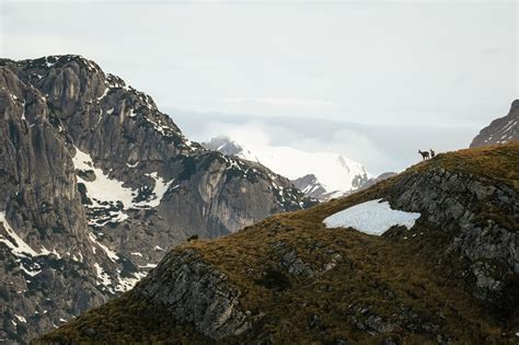 Zavod Za Zaštitu Prirode Srbije ЗА УТИСКЕ СА КАМПА У „ТАРА ЦЕНТРУ“ ЗАВОДА Како би исказали