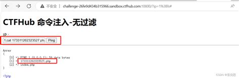 Ctfhub靶场————rcectfhub Rce Csdn博客