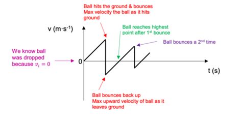 Bouncing Ball Velocity Time Graphs 5 9 Flashcards Quizlet