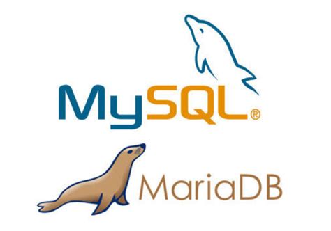 Mariadb Vs Mysql Which Is Better Chat2db