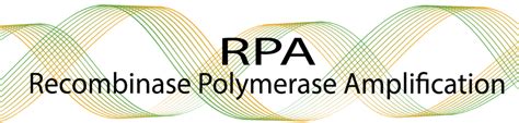 Recombinase Polymerase Amplification Rpa Information And Publications