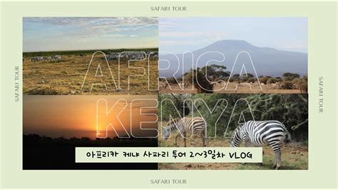 Vlog 🇰🇪여행 브이로그 2 아프리카 케냐 사파리 투어 여기는 얼룩말 천지 암보셀리 국립공원 랜선여행 Youtube