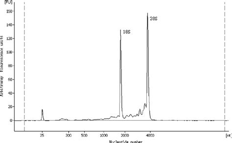 Evaluation Of Total Rna Integrity Using An Agilent 2100 Bioanalyser Download Scientific