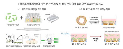 테크비즈코리아 2023 한국생명공학연구원 항 헬리코박터 파일로리 활성을 가지는 유산균 전자신문
