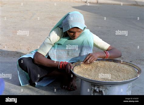 Sorting Grain Hi Res Stock Photography And Images Alamy