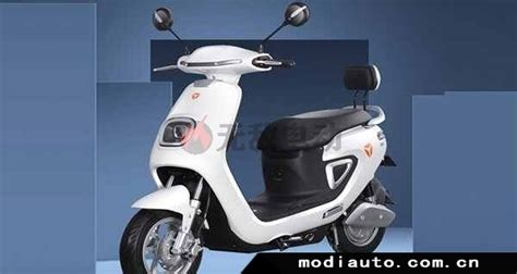 雅迪电动车电池是什么电池 无敌电动