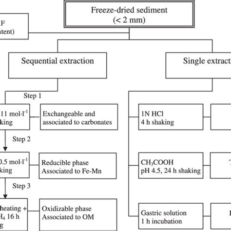 Flow Chart Showing The Sequential And Single Extractions Tests Applied Download Scientific