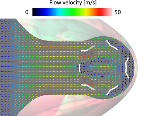 Vector Representation Of Flow Velocity At The Inlet To The Mixer Mass