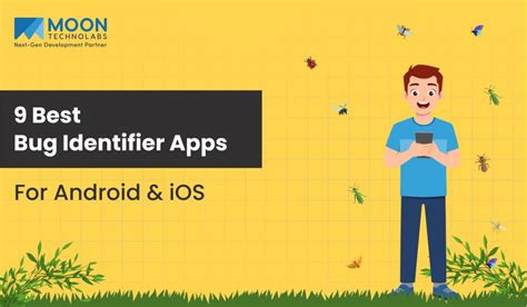 9 Best Bug Identifier Apps For Android And IOS Moon Technolabs Blogs On Software Technology