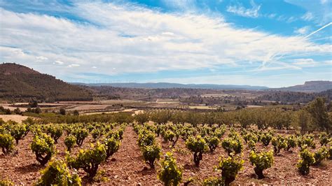 Bodega Chozas Carrascal Added A Bodega Chozas Carrascal