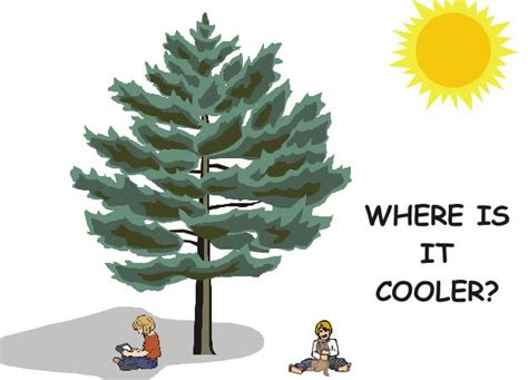 Free Science Fair Projects Experiments Sun Or Shade Science Fair Project