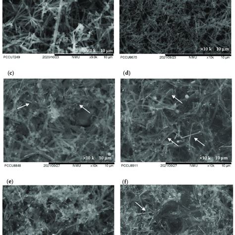 A Schematic Diagram Of H2s Gas Sensor B Optical Image Of H2s Gas Download Scientific