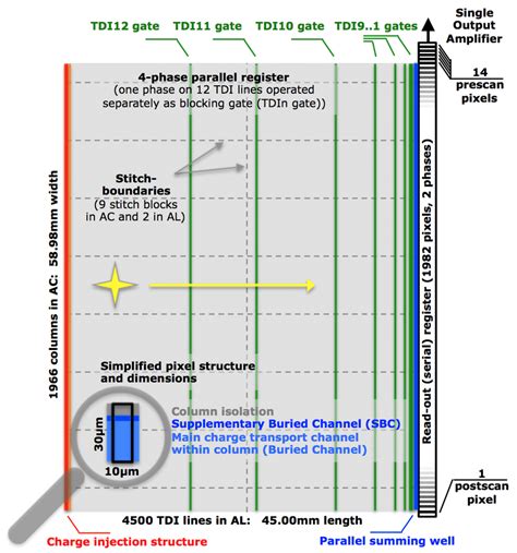 Schematic View Of A Gaia Ccd Detector Stars Move From Left To Right In Download Scientific