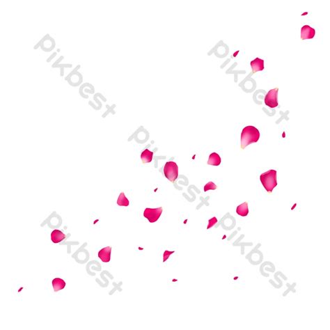 분홍색 떠 다니는 장미 꽃잎 일러스트 PNG PSD 무료 다운로드 Pikbest