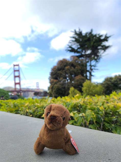 미국 샌프란시스코 금문교 투어 뷰포인트 역사 길이 골든게이트 자전거 페리 네이버 블로그