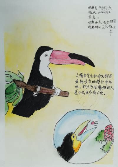 自然笔记 高清图片，堆糖，美图壁纸兴趣社区